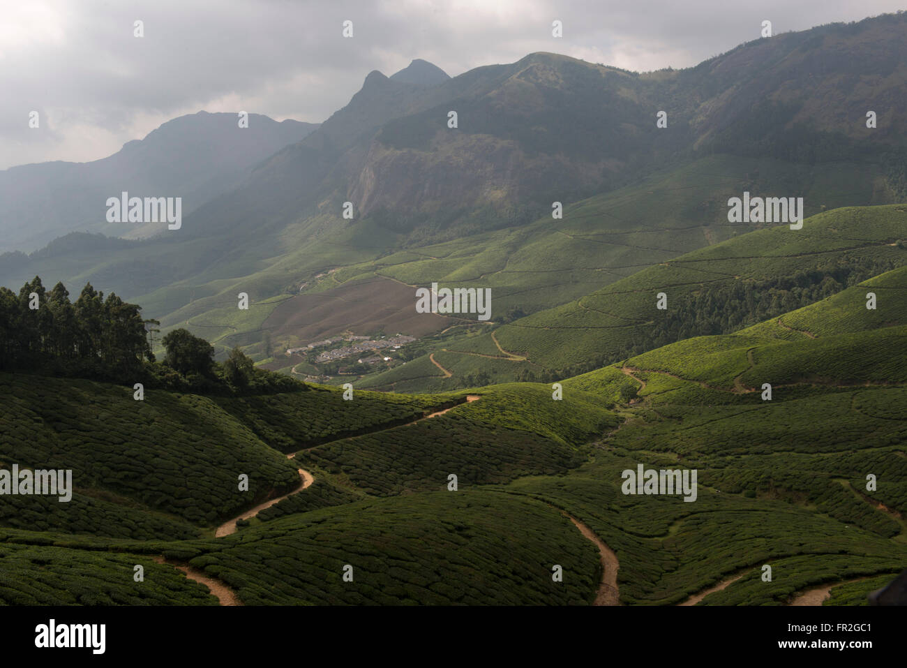 Kerala village scenery hi-res stock photography and images - Alamy