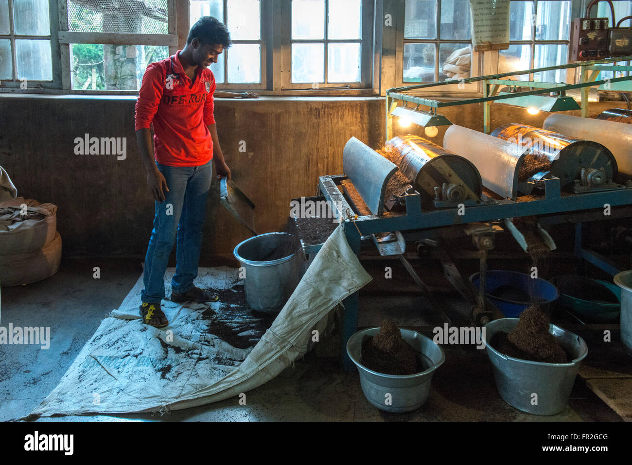 Workers Processing Tea, Tea Factory, Kolukkumalai Tea Estate, Western ...