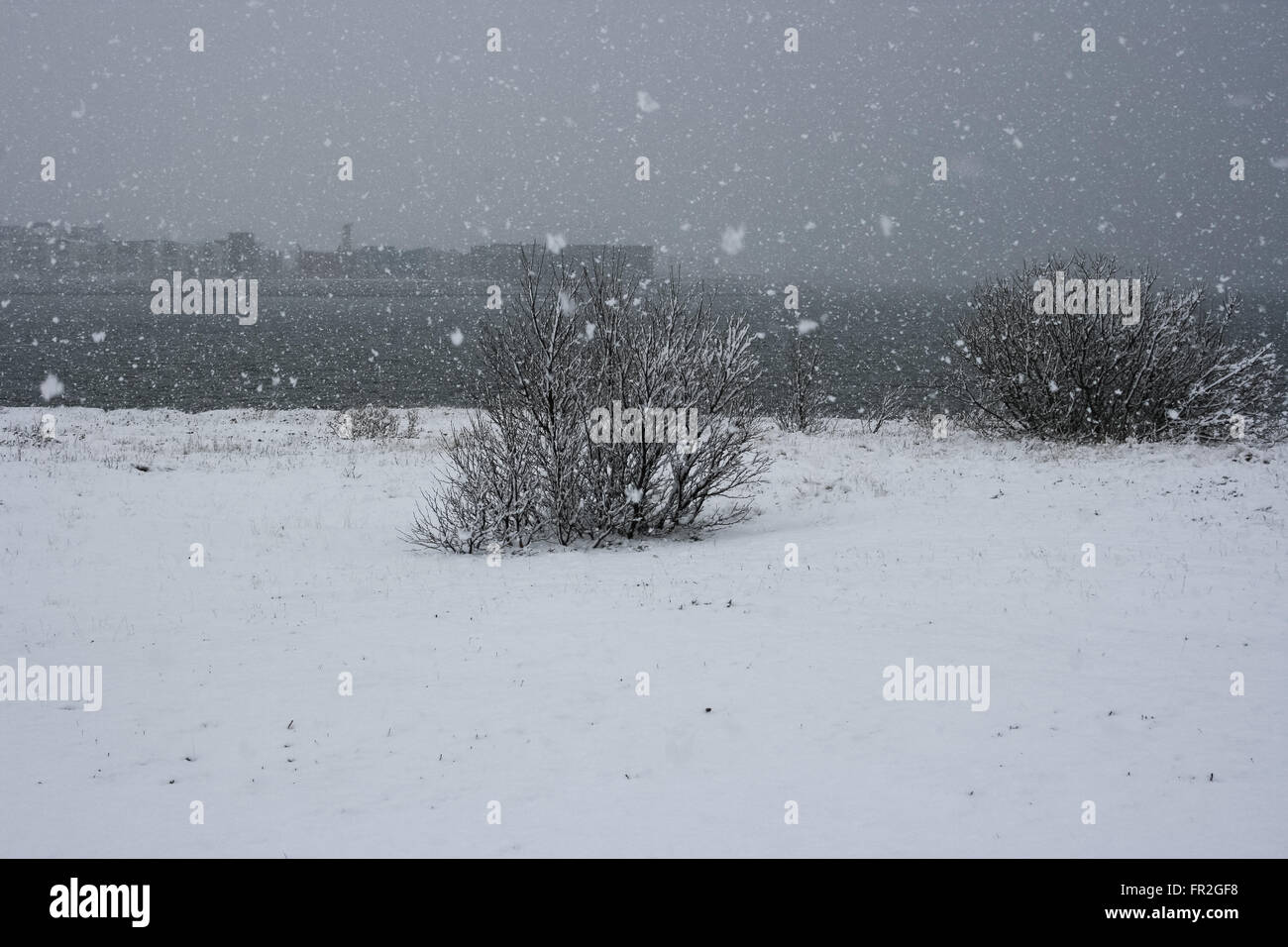 Blizzard storm hi-res stock photography and images - Alamy