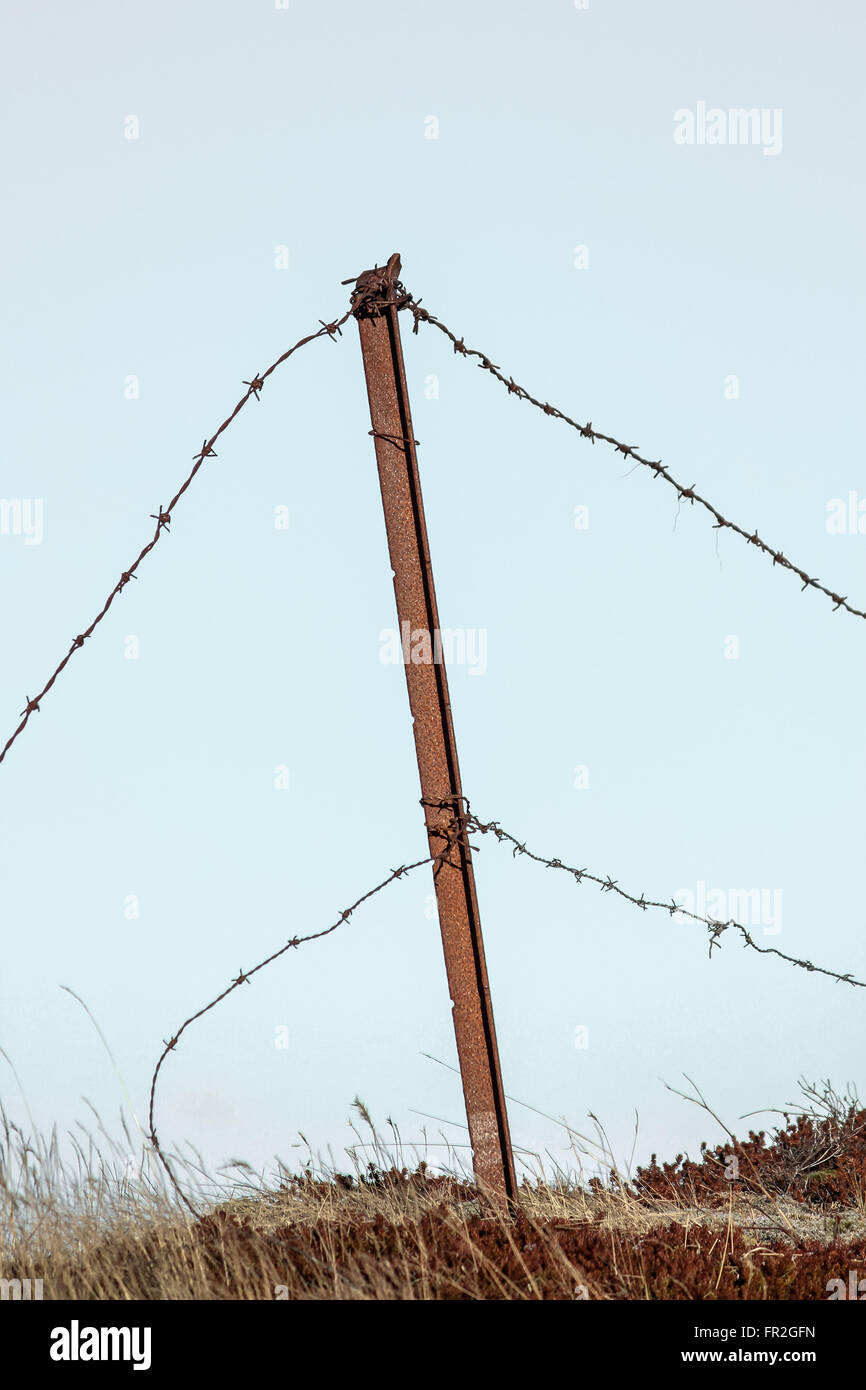 Old wire fence on farm in Reykjavik Iceland Stock Photo - Alamy