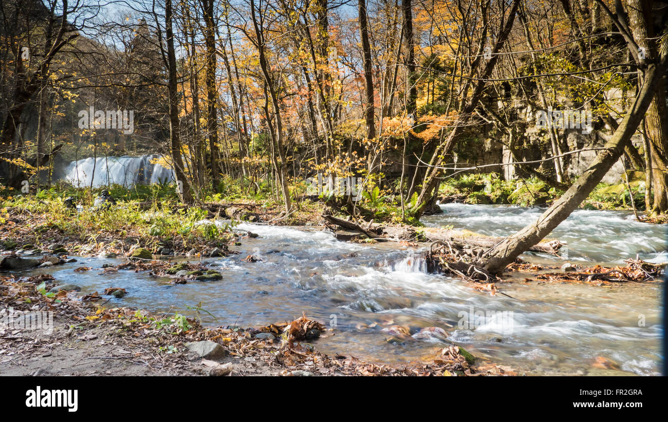 The Mysterious Oirase Stream flowing through the autumn forest in ...