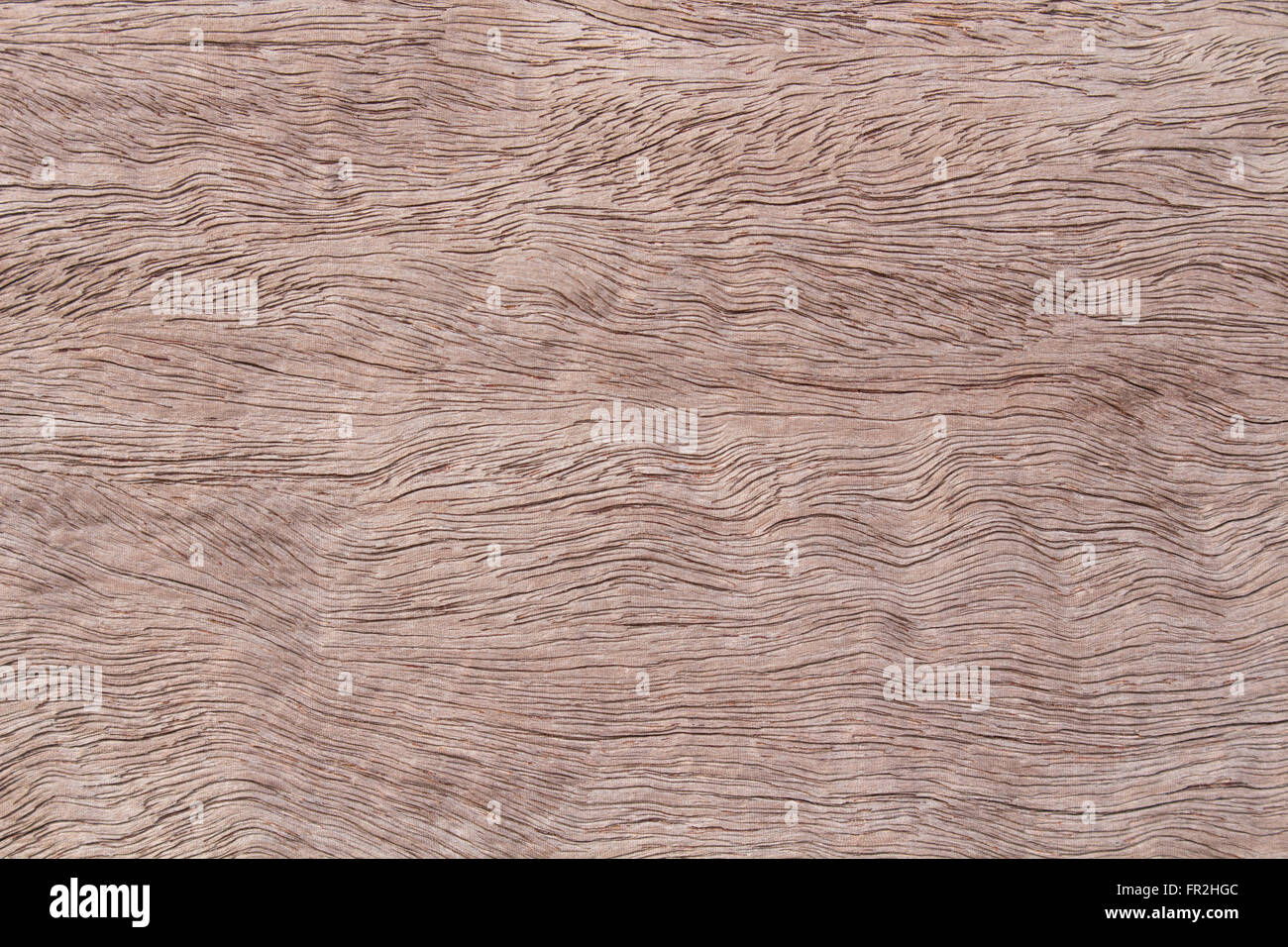 The surface Pattern of the wood is not wood paint a coating Stock Photo ...