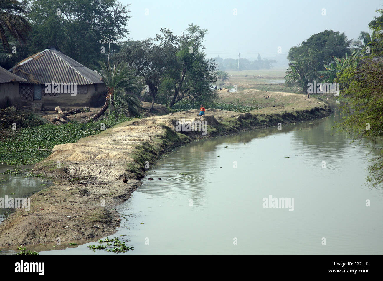 Bengali village January 14, 2009 in Sundarbans, West Bengal, India ...