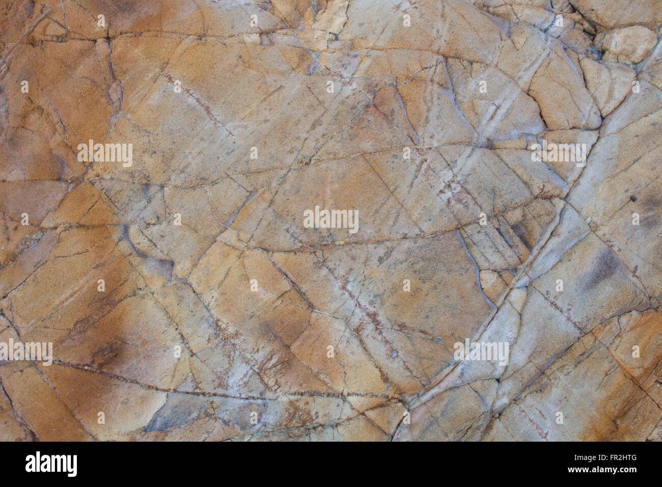 The surface of the stone coastal area Stock Photo - Alamy