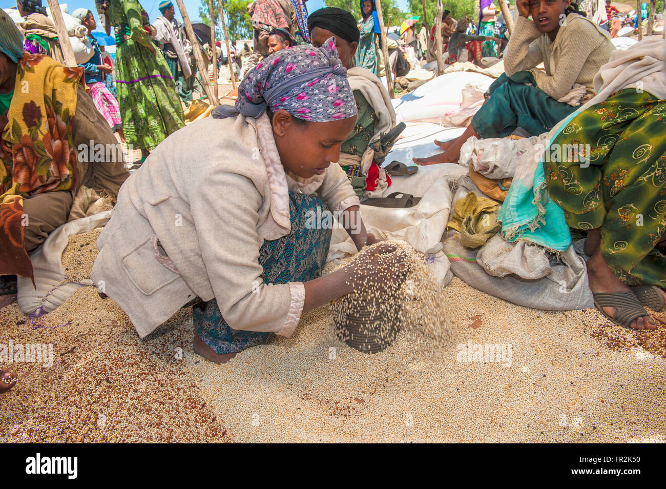 Women selling grains, Lalibela market, Amhara region, Northern Ethiopia ...
