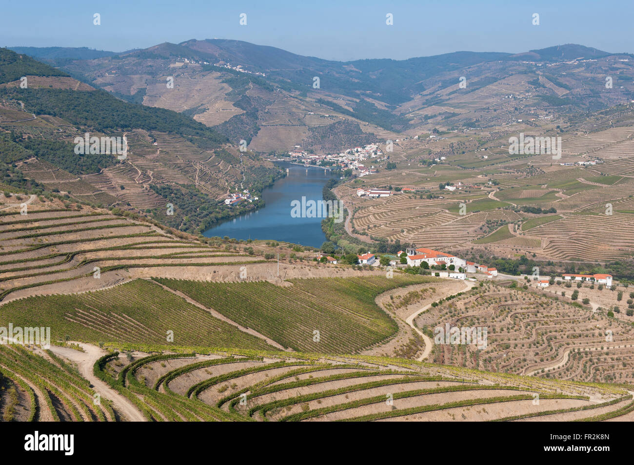 Douro river and Porto Wine vineyards, Alto Douro, Tras-os-Montes ...