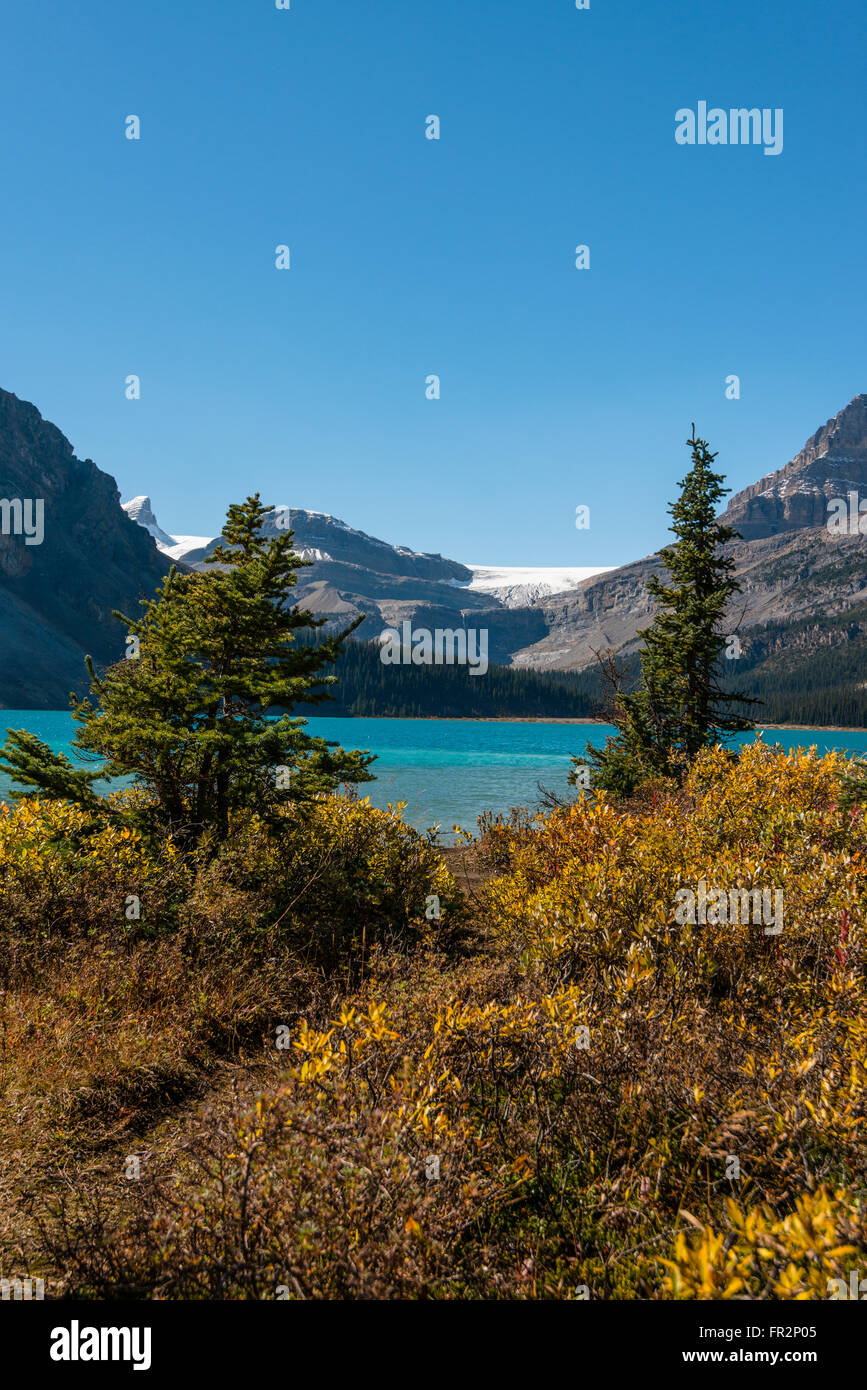 Bow Lake, Bow Glacier, Banff National Park, canadian Rocky Mountains ...