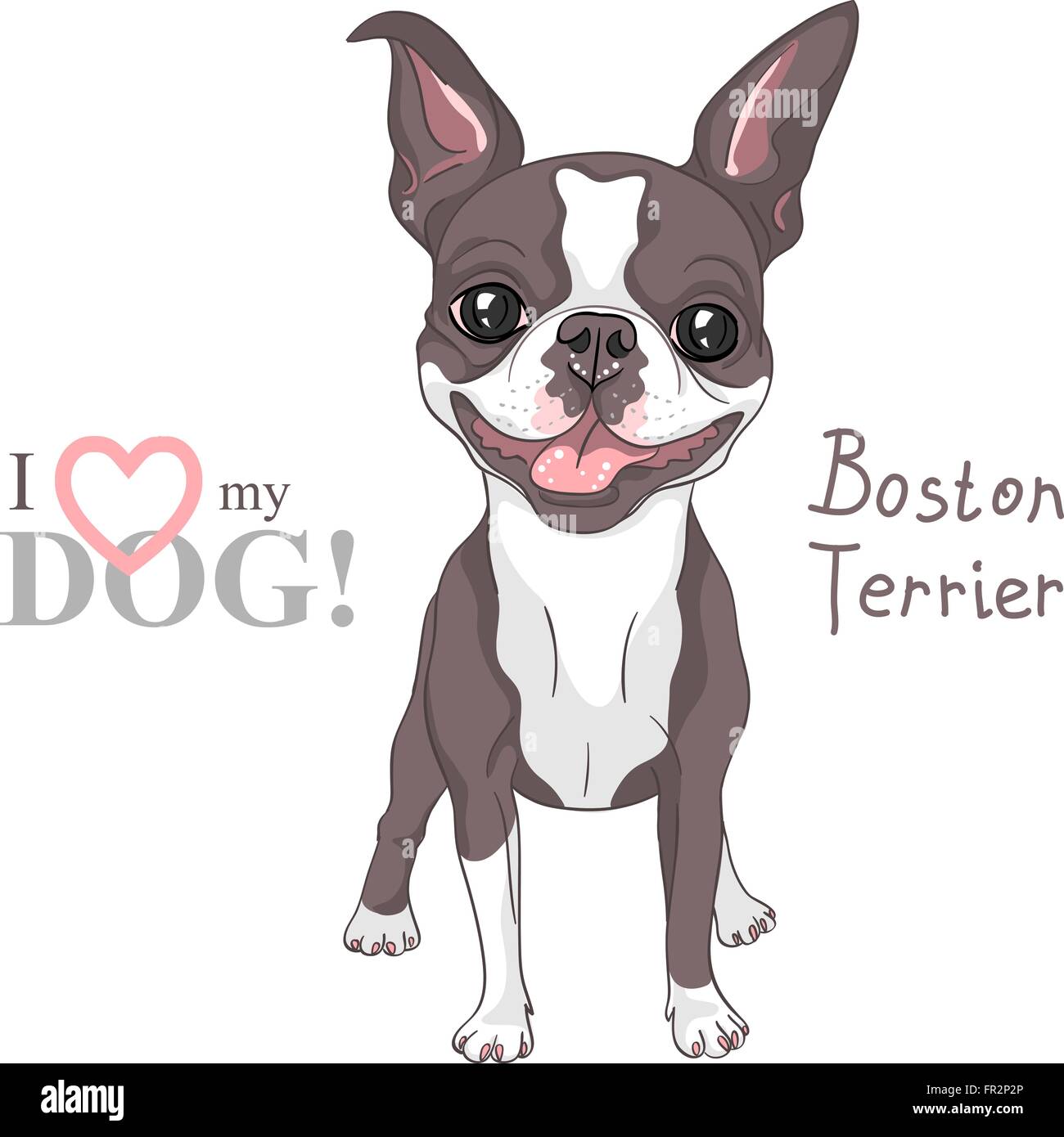 Cute boston terrier head Stock Vector Images - Alamy