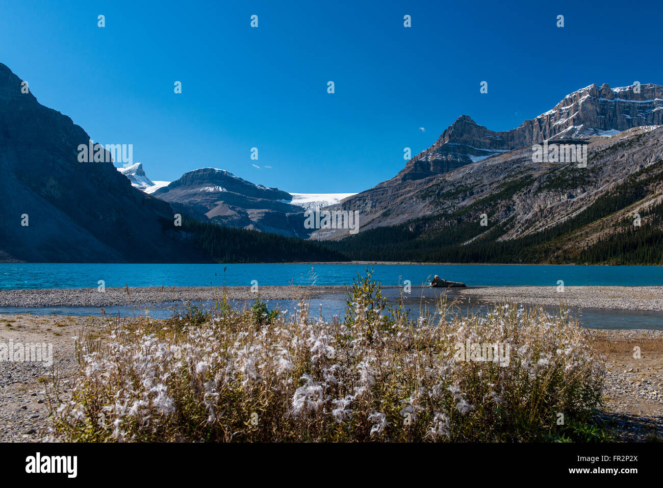 Bow Lake, Bow Glacier, Banff National Park, canadian Rocky Mountains ...