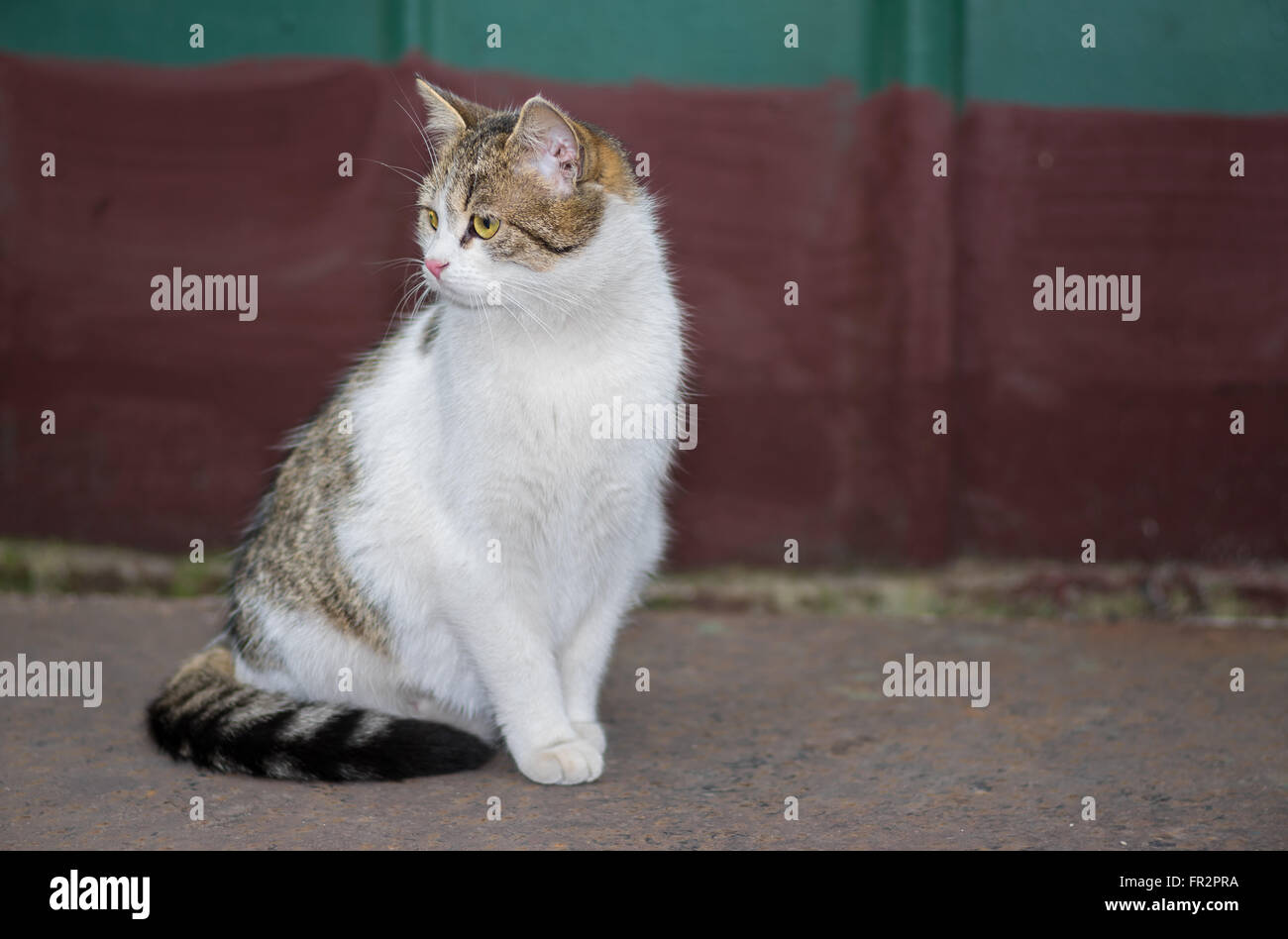 The beautiful ordinary hi-res stock photography and images - Alamy