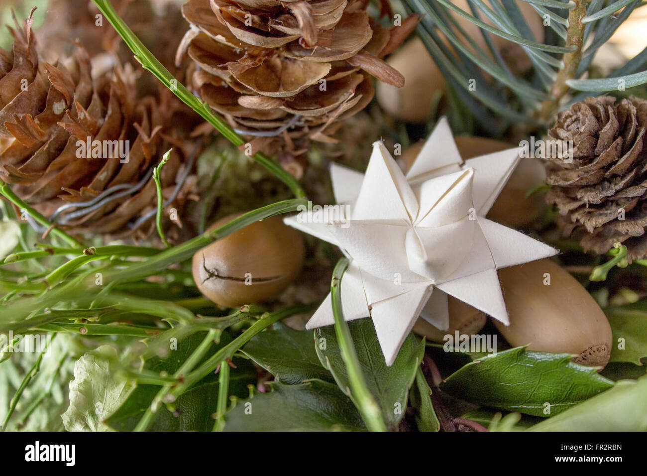 Star branches hi-res stock photography and images - Alamy