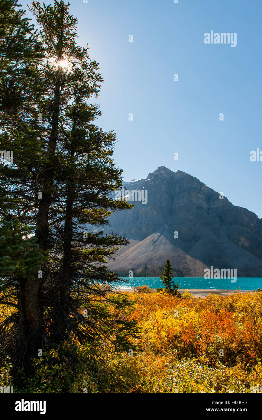 Bow Lake, Bow Glacier, Banff National Park, canadian Rocky Mountains ...