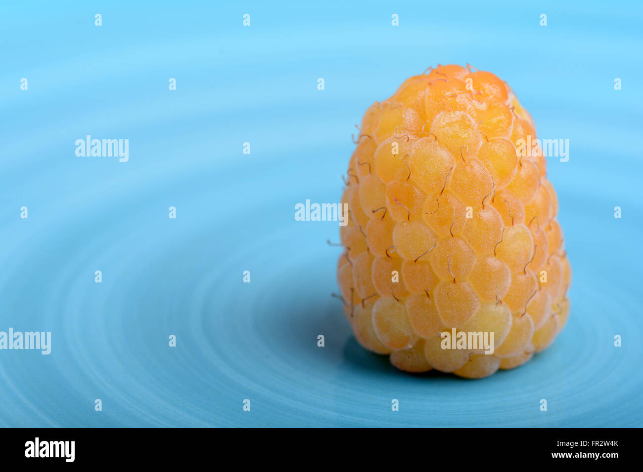 Amazing detail of ripe orange raspberries Stock Photo - Alamy