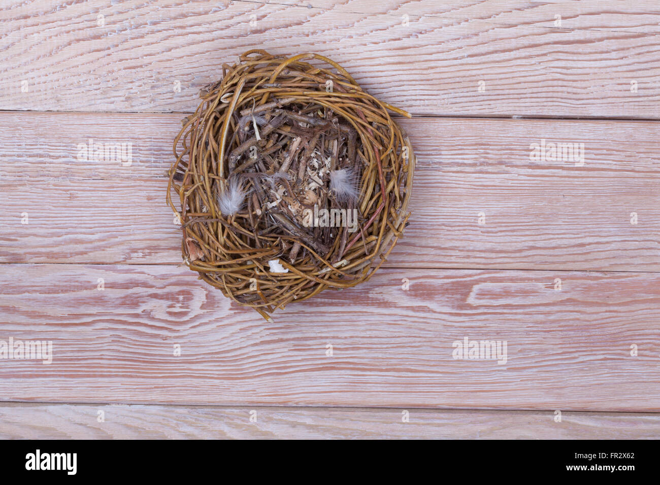 Empty colorful birds nest on wooden background Stock Photo - Alamy