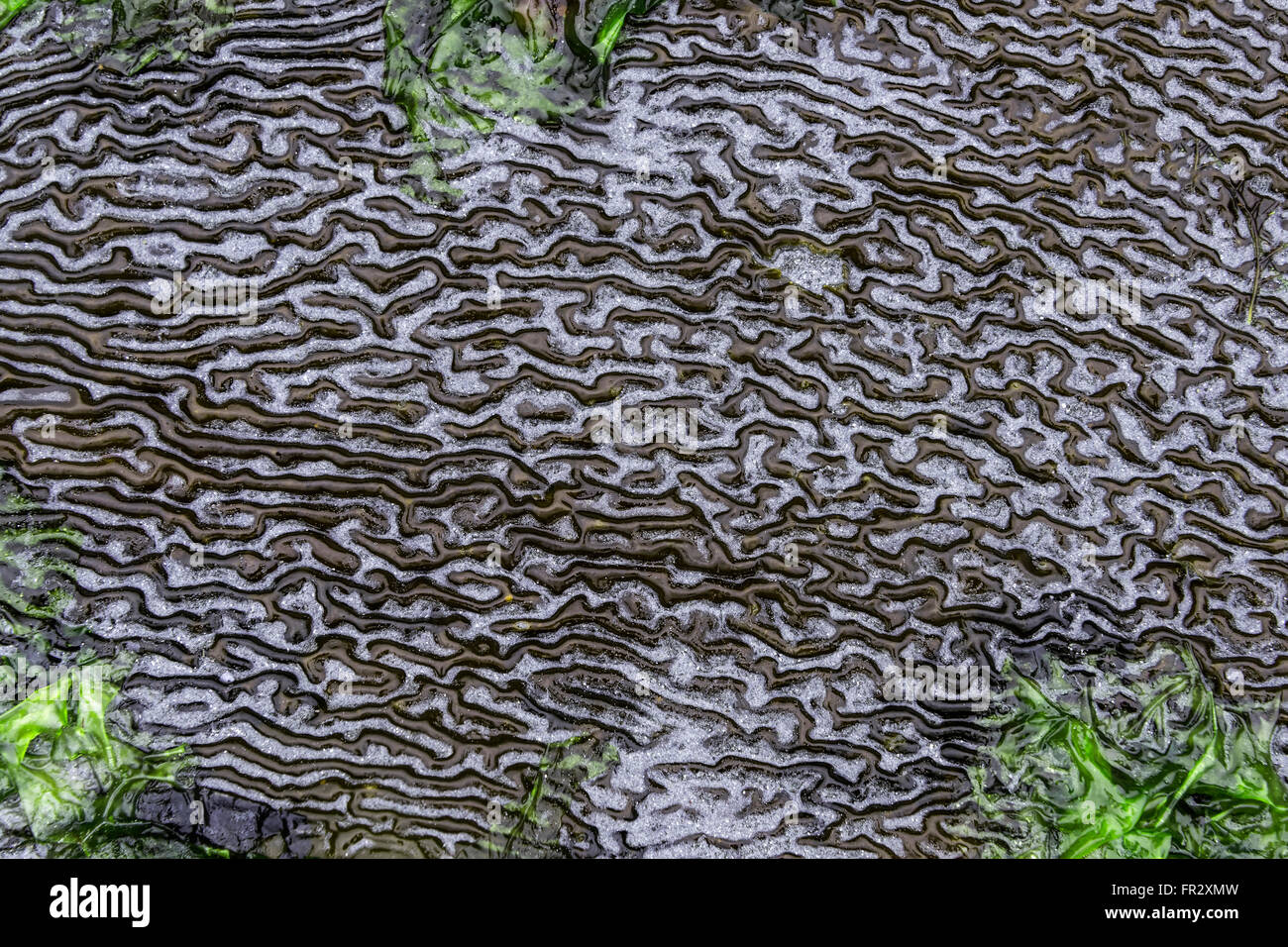 Terrace beach british columbia hi-res stock photography and images - Alamy