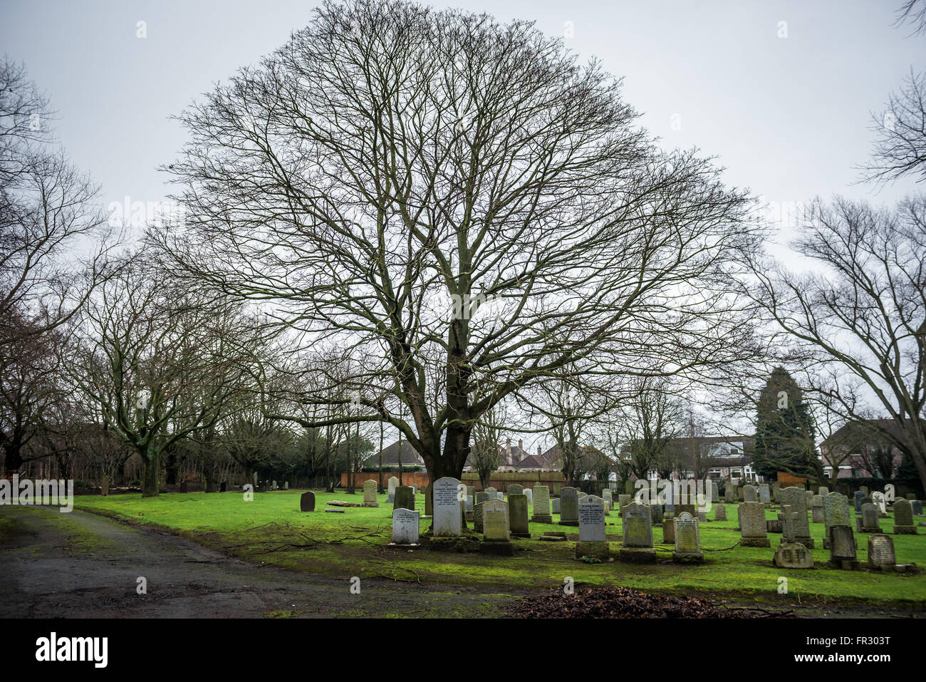 Corstorphine Hill Cemetery in Edinburgh, Scotland, UK Stock Photo - Alamy