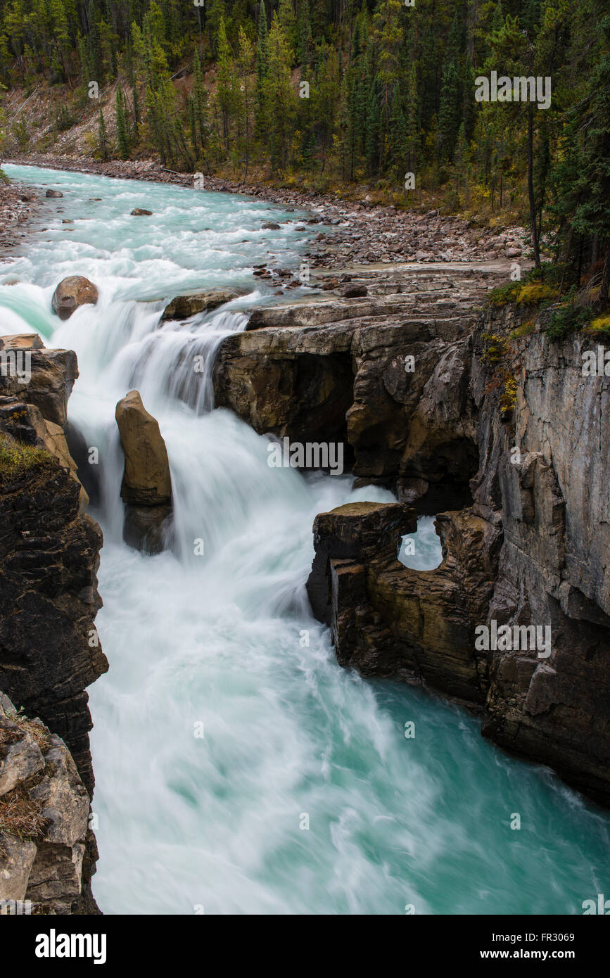 Sunwapta Falls, Sunwapta River, waterfall, Jasper National Park ...