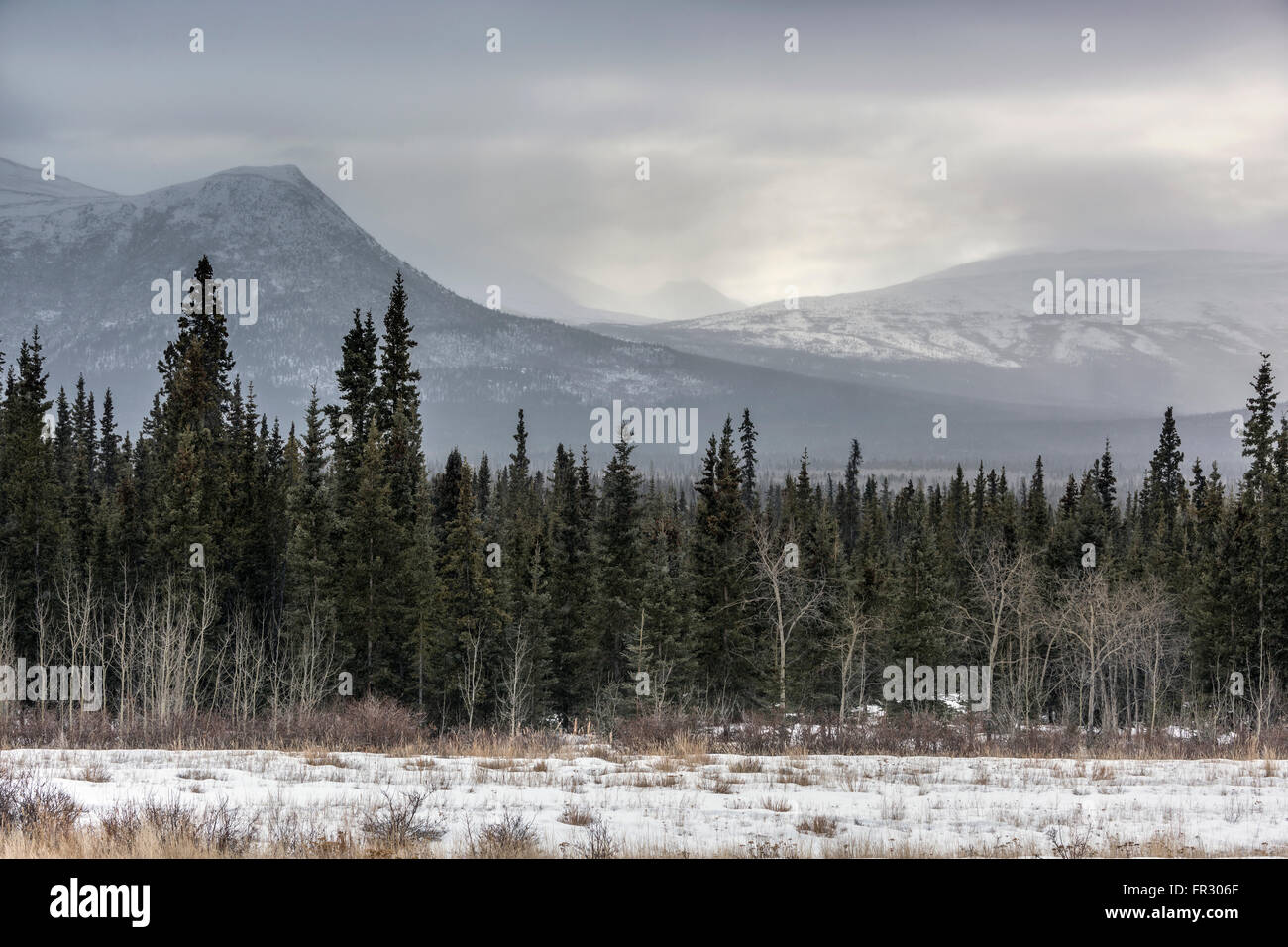 Yukon ranges hi-res stock photography and images - Alamy