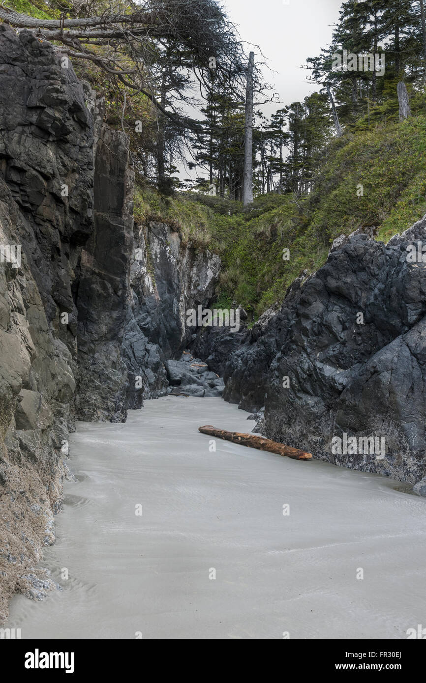 Sand-filled gully at low tide, Chesterman Beach, Tofino, British ...