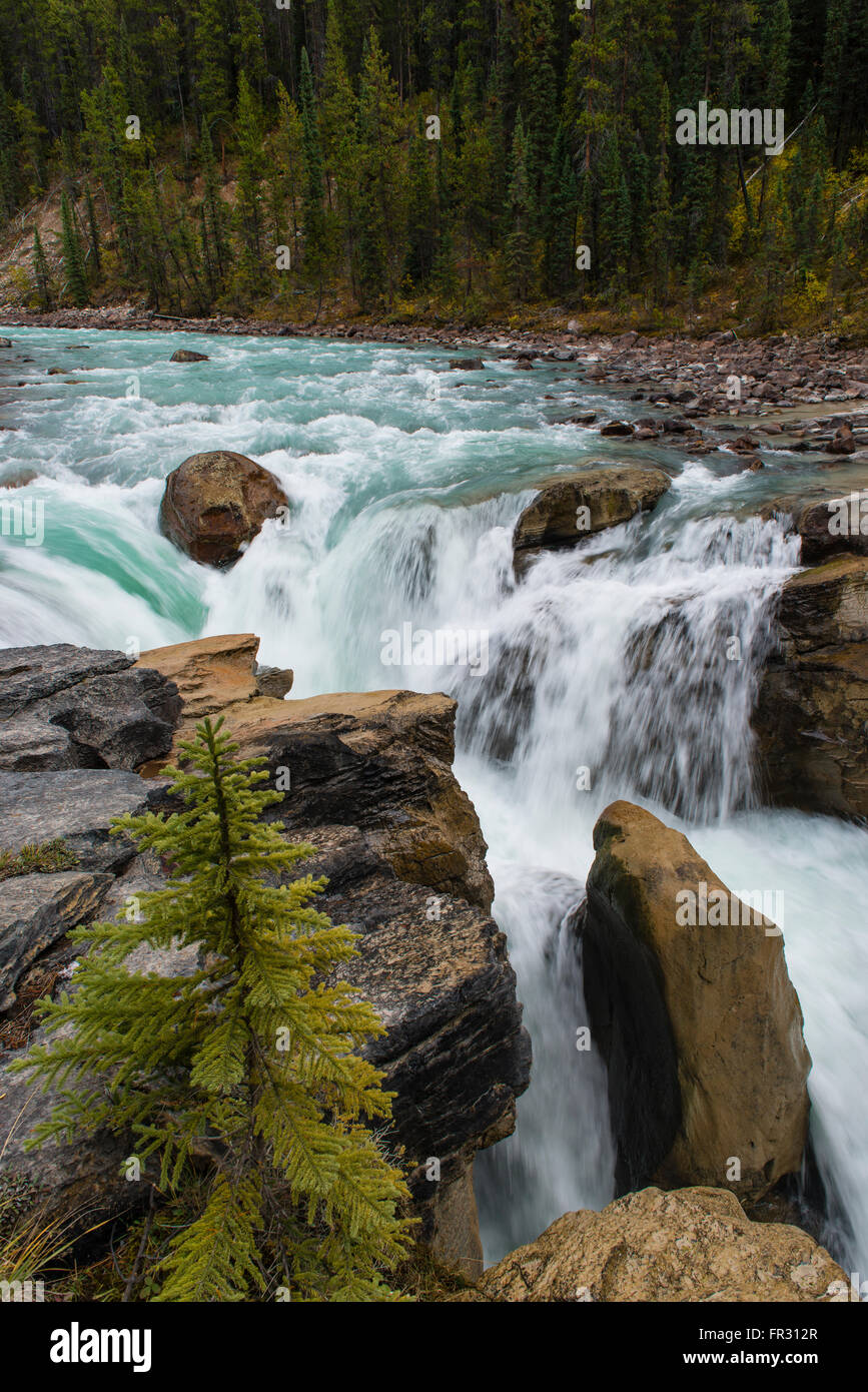 Sunwapta Falls, Sunwapta River, waterfall, Jasper National Park ...