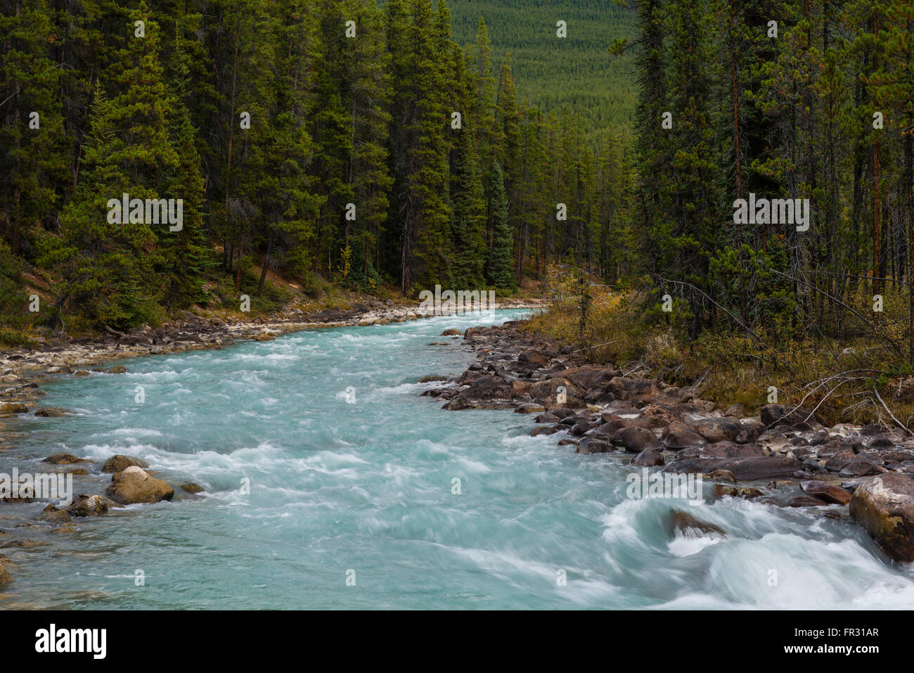 Sunwapta Falls, Sunwapta River, waterfall, Jasper National Park ...