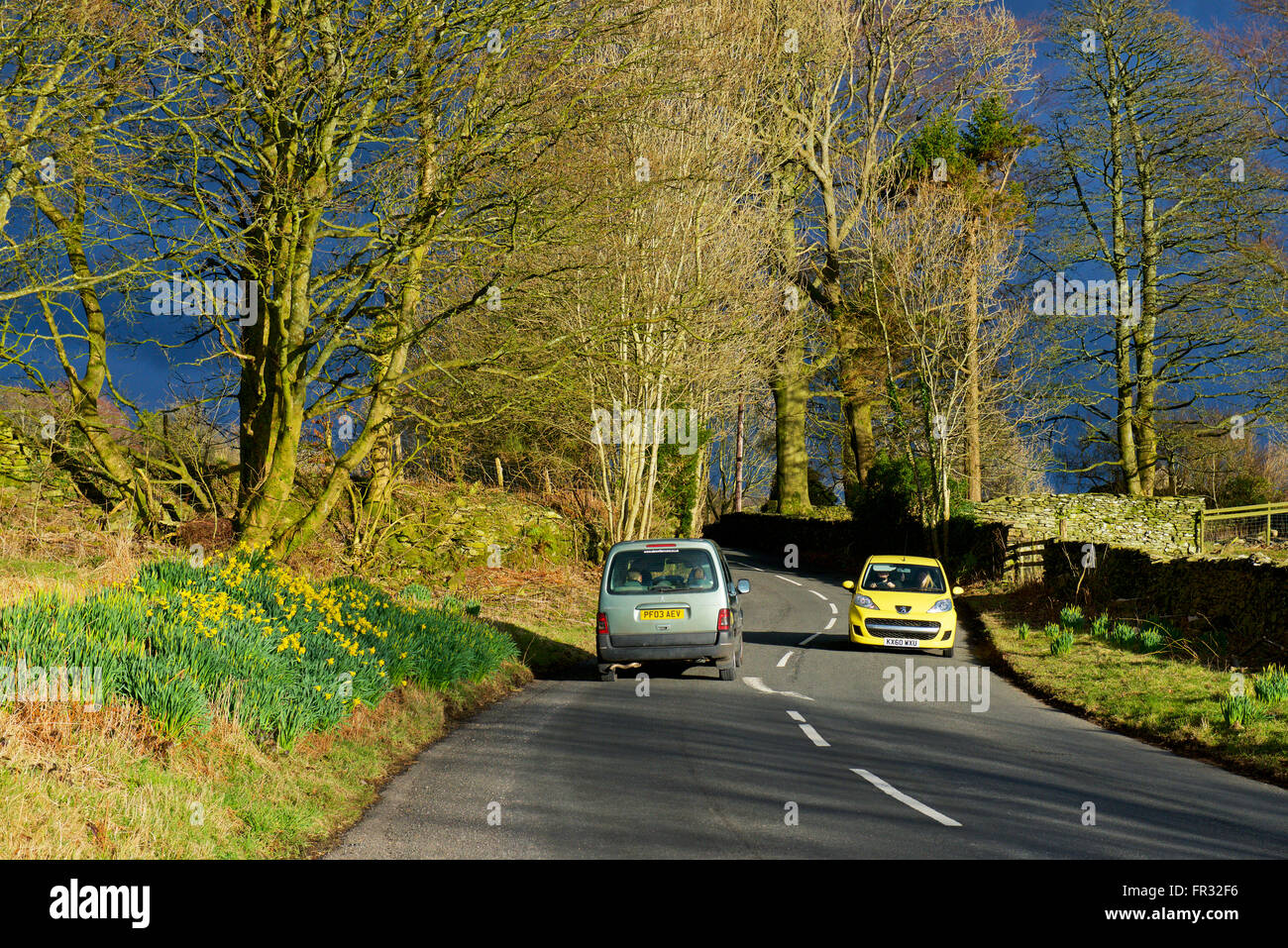 Two cars on country road in South Lakeland, Lake District National Park ...
