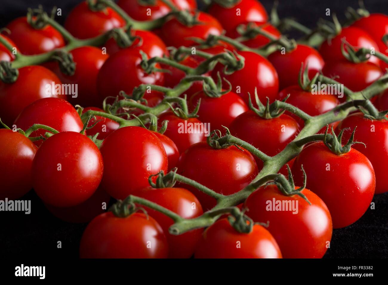 Red rows of vine hi-res stock photography and images - Alamy