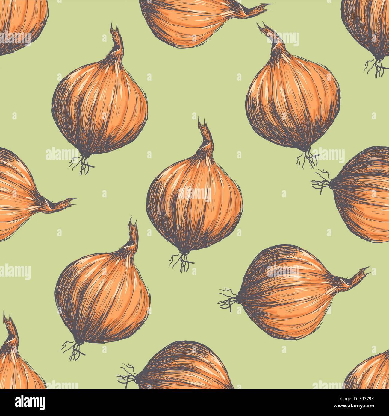Hand drawn seamless pattern of onions Stock Vector Image & Art - Alamy
