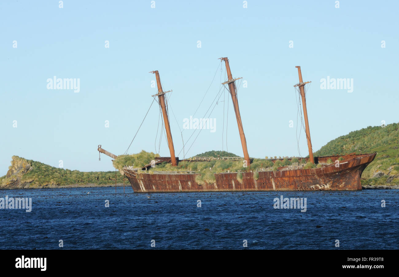 The Bayard, a three masted iron hulled sailing ship, wrecked in 1911 ...
