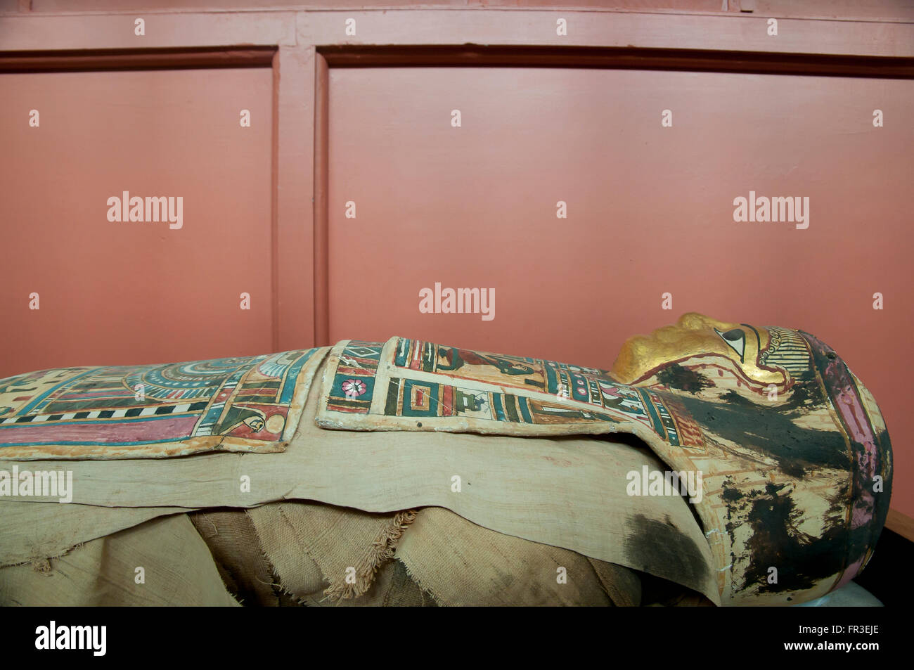 Female mummy hi-res stock photography and images - Alamy