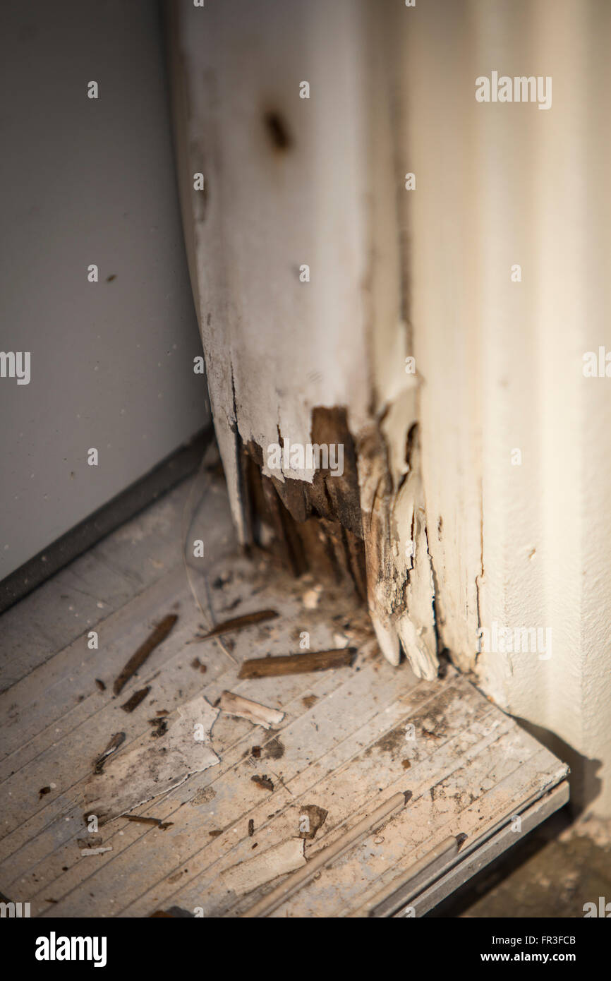 Dry rot hi-res stock photography and images - Alamy