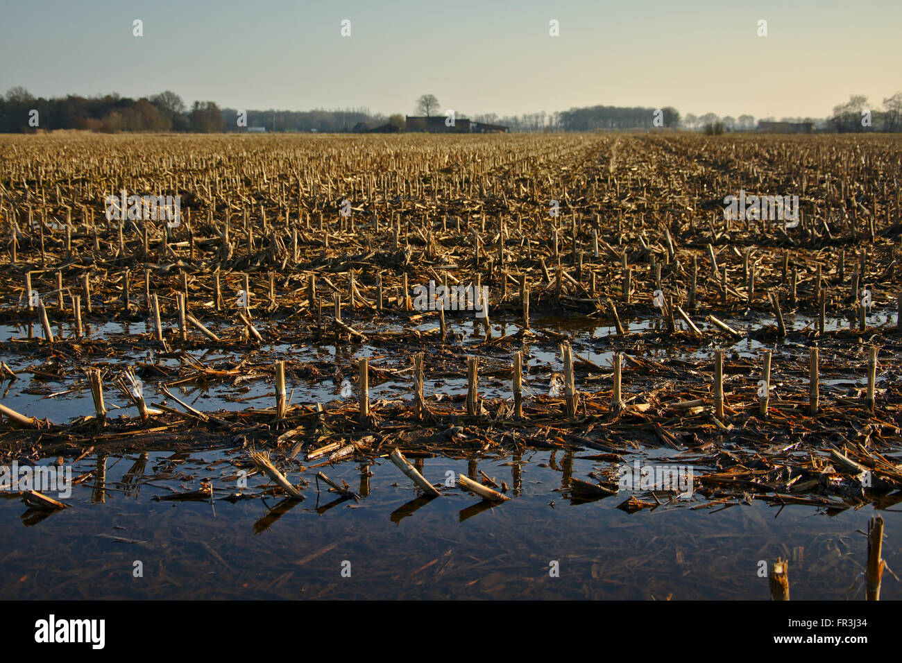Winter farmland after the rain Stock Photo - Alamy