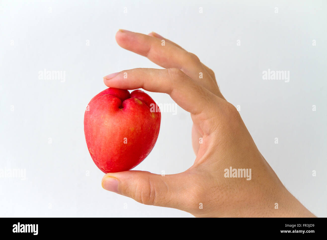 A whole rose apple held in the hand of a young woman, isolated on white ...