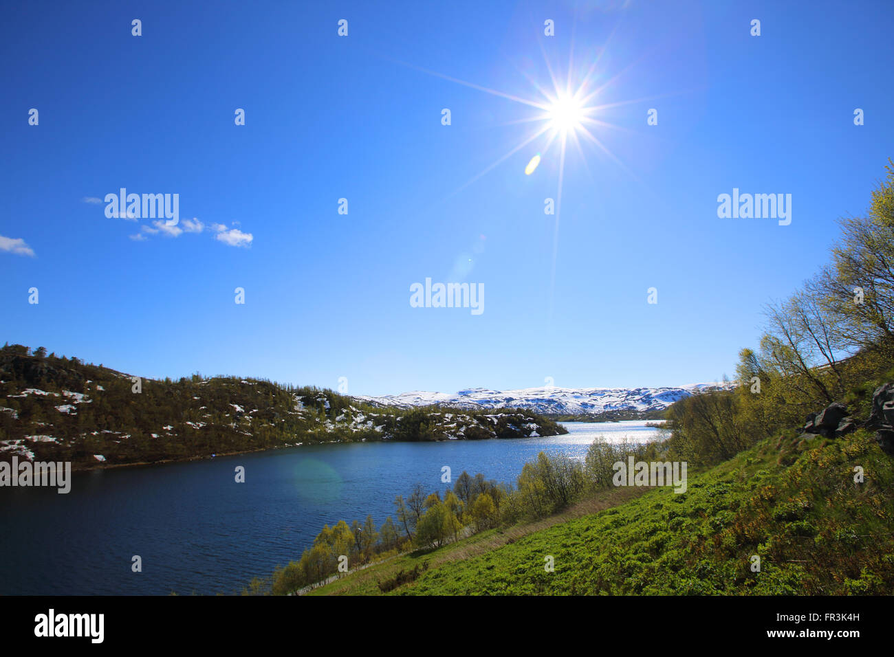 Summer Norway landscape with forest mountains and fjord Stock Photo - Alamy