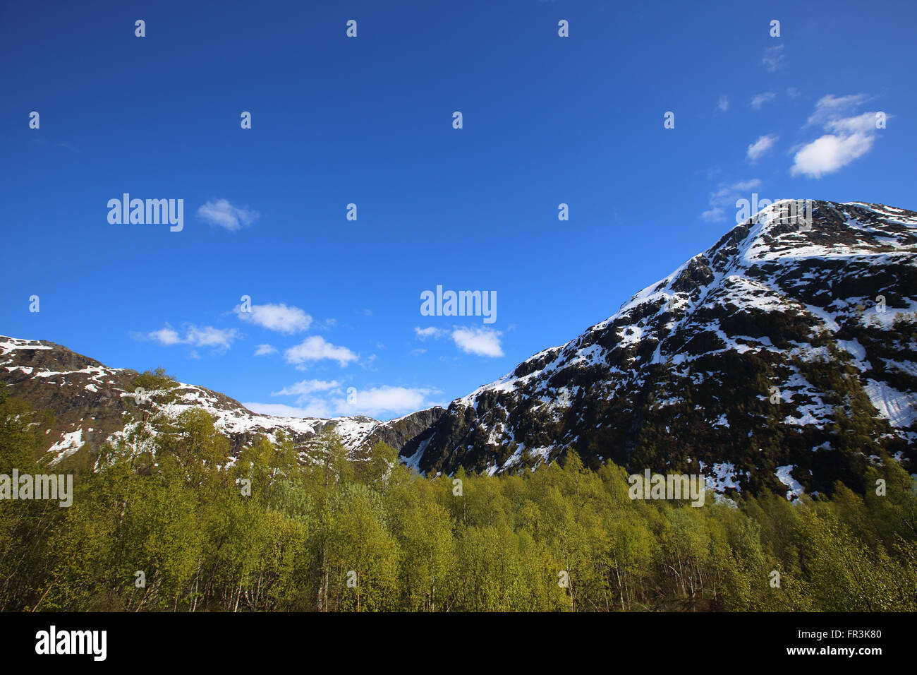 Spring Norway landscape with mountains and forest Stock Photo - Alamy