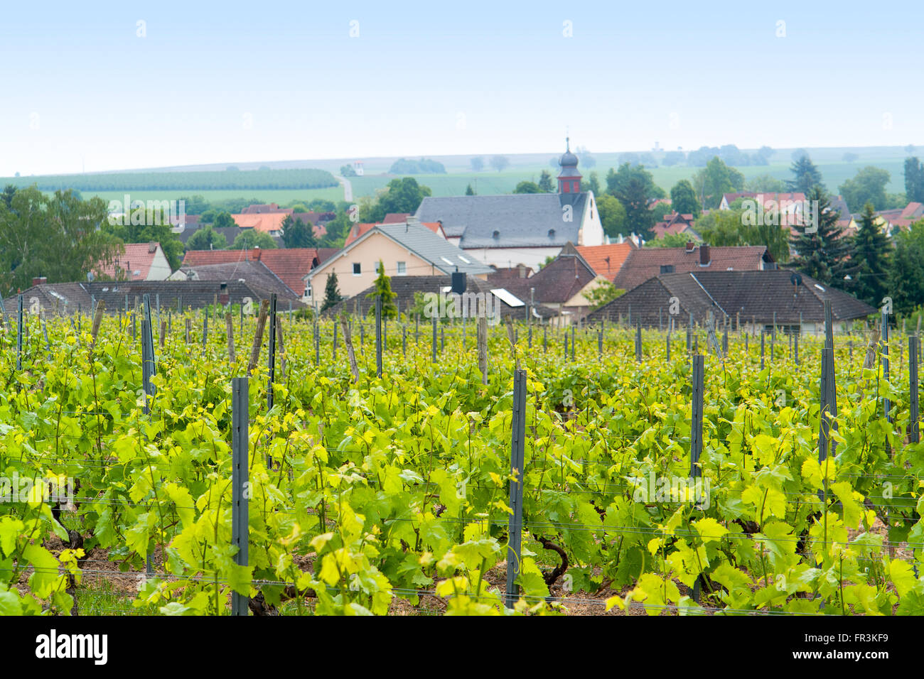 idyllic scenery at the wine region Rheinhessen around Loerzweiler in ...