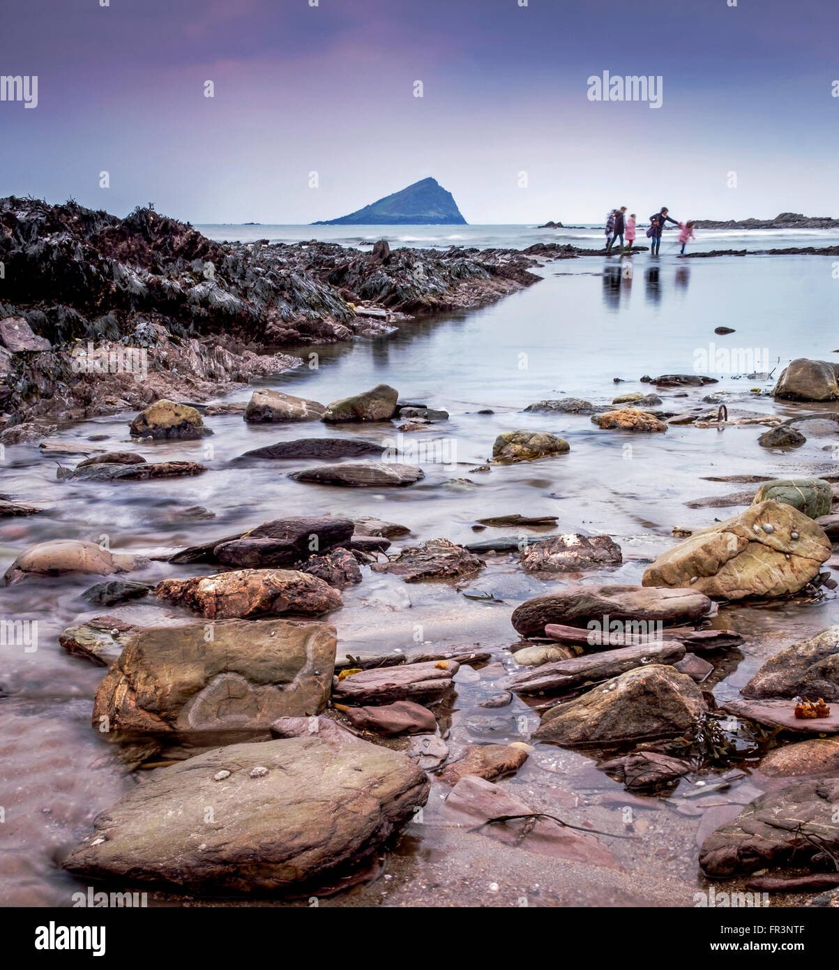 people on the beach at wembury,devon Stock Photo - Alamy