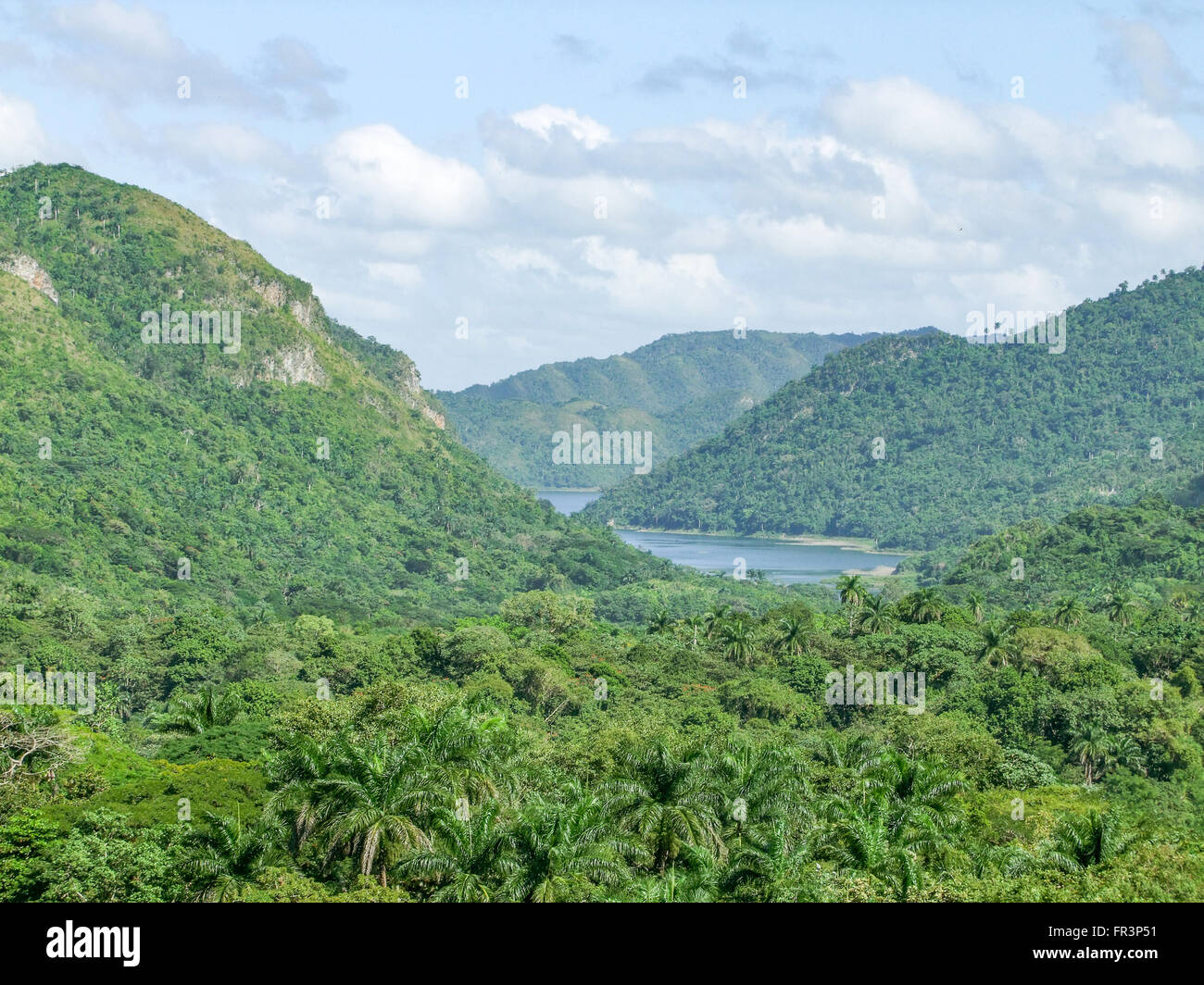 tropical scene around Vinales Valley in Cuba, a island in the caribbean ...
