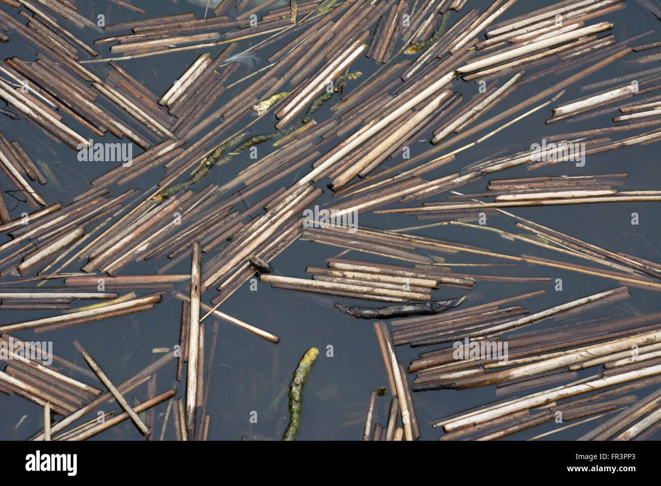 Floating patterns hi-res stock photography and images - Alamy