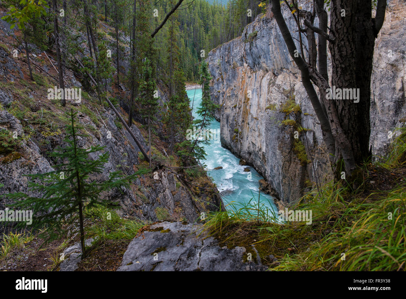 Sunwapta Falls, Sunwapta River, waterfall, Jasper National Park ...