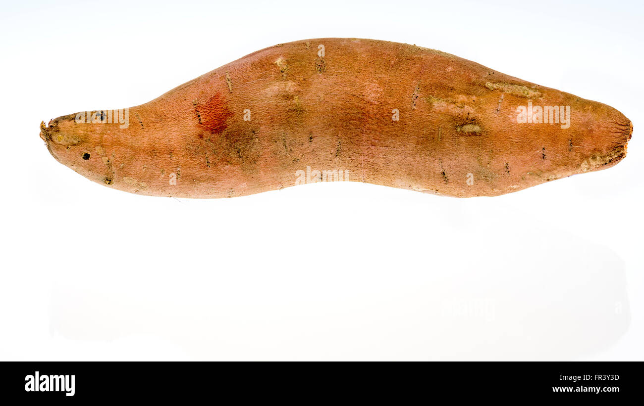 Close up of a single yam sweet potato Stock Photo - Alamy