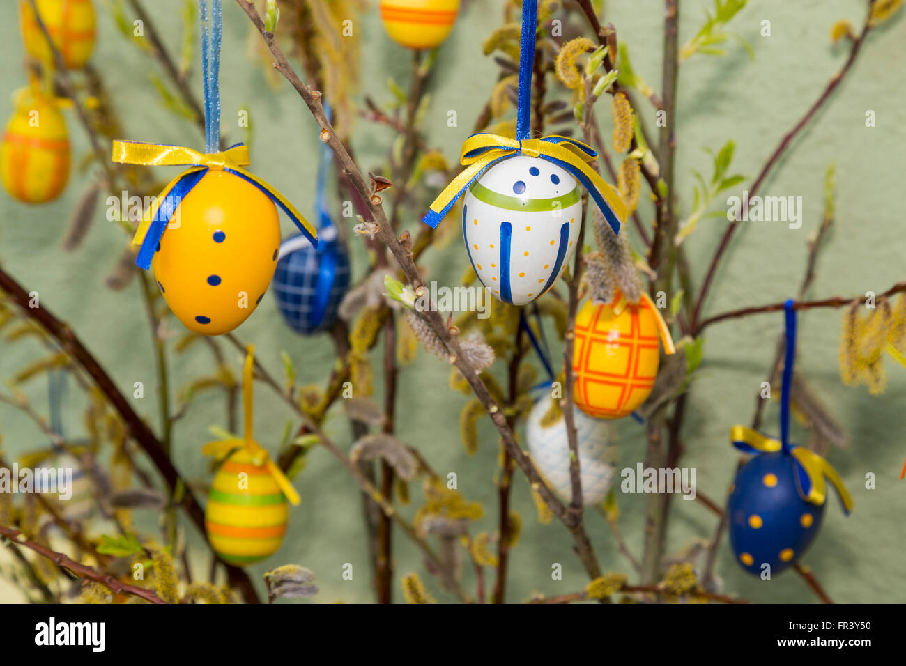 Osterbaum, easter tree, Eschen, Rheintal, Rhine-valley, Liechtenstein ...