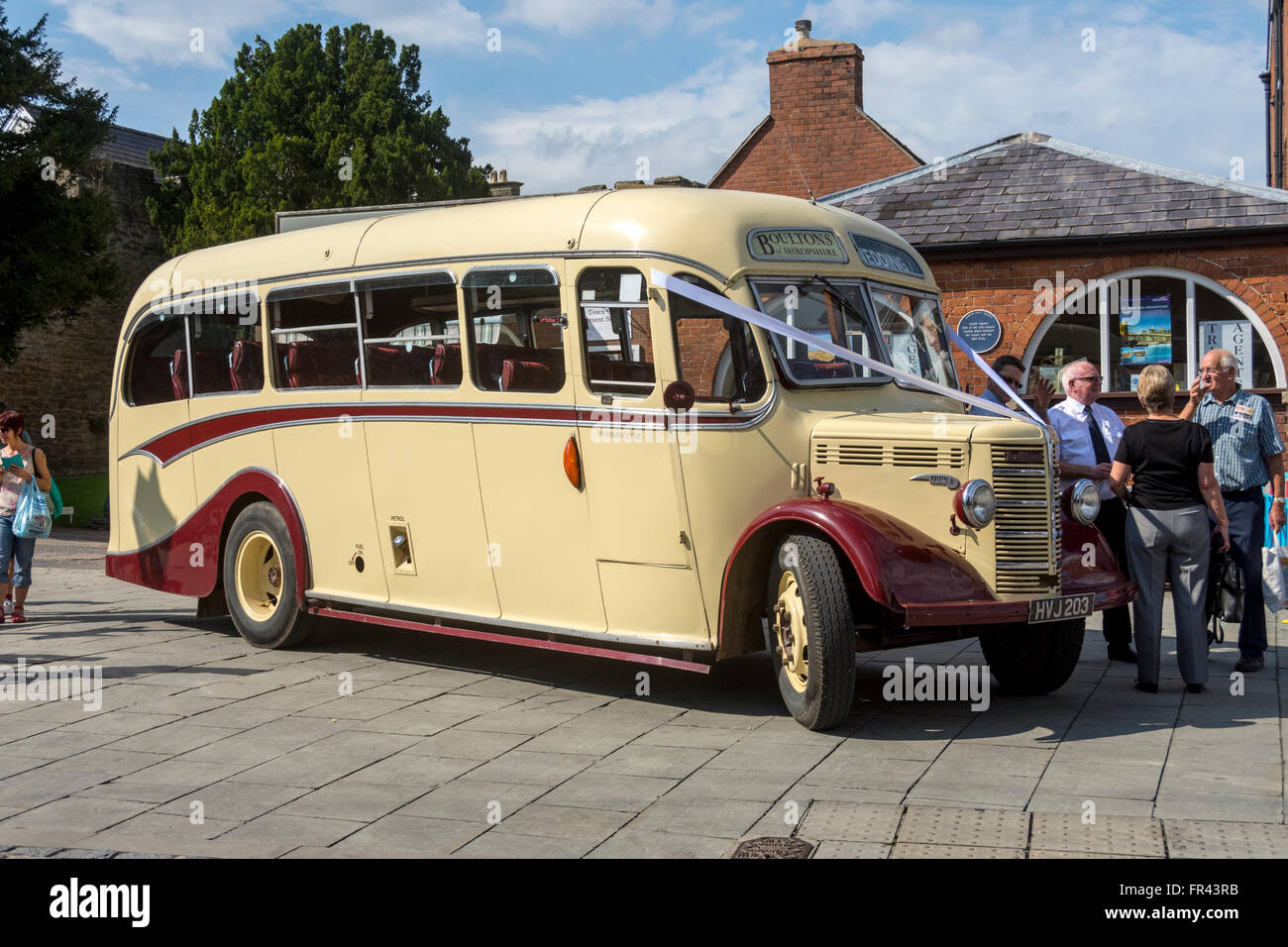 1951 Bedford OB vintage motor coach bedecked for a wedding party ...