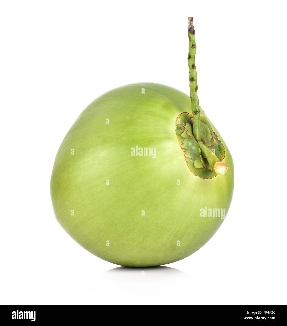 Green coconut Fruit isolated on white background Stock Photo - Alamy