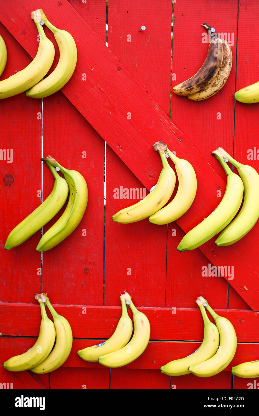 Food: Hanging bananas on a red wooden door Stock Photo - Alamy