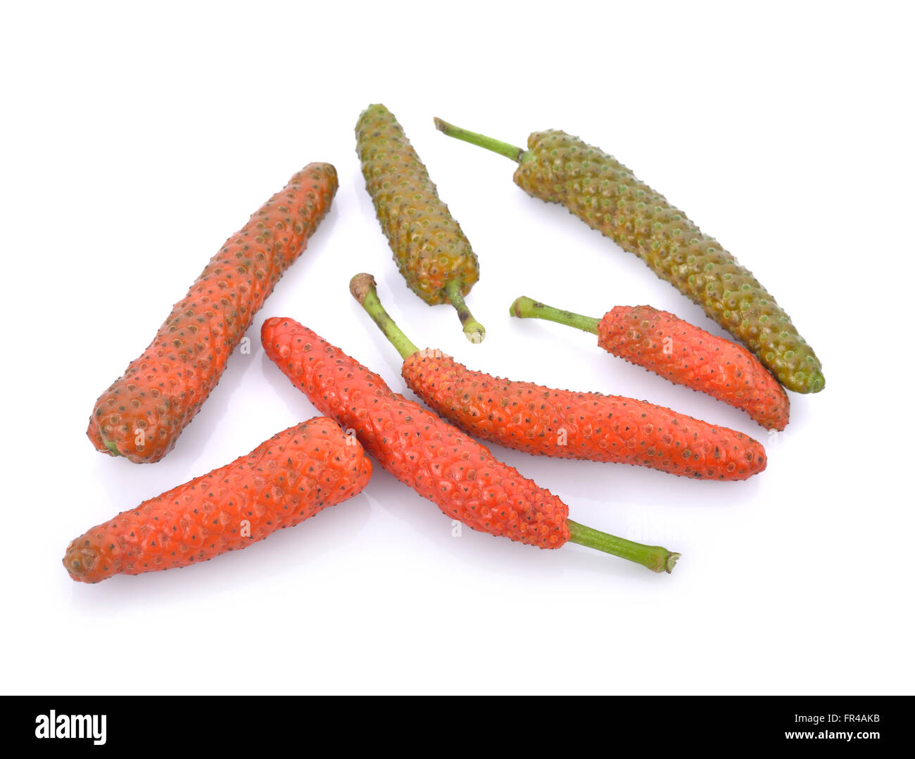 Long pepper or Piper longum isolated on white background Stock Photo ...