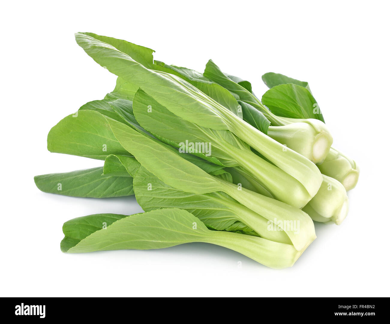 Bok choy plant hi-res stock photography and images - Alamy