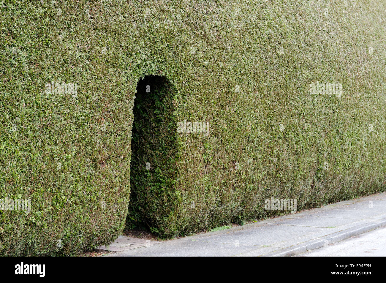 Opening in hedge hi-res stock photography and images - Alamy
