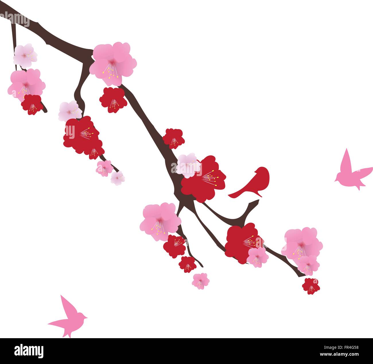 vector illustration of cherry blossom with birds Stock Vector Image ...