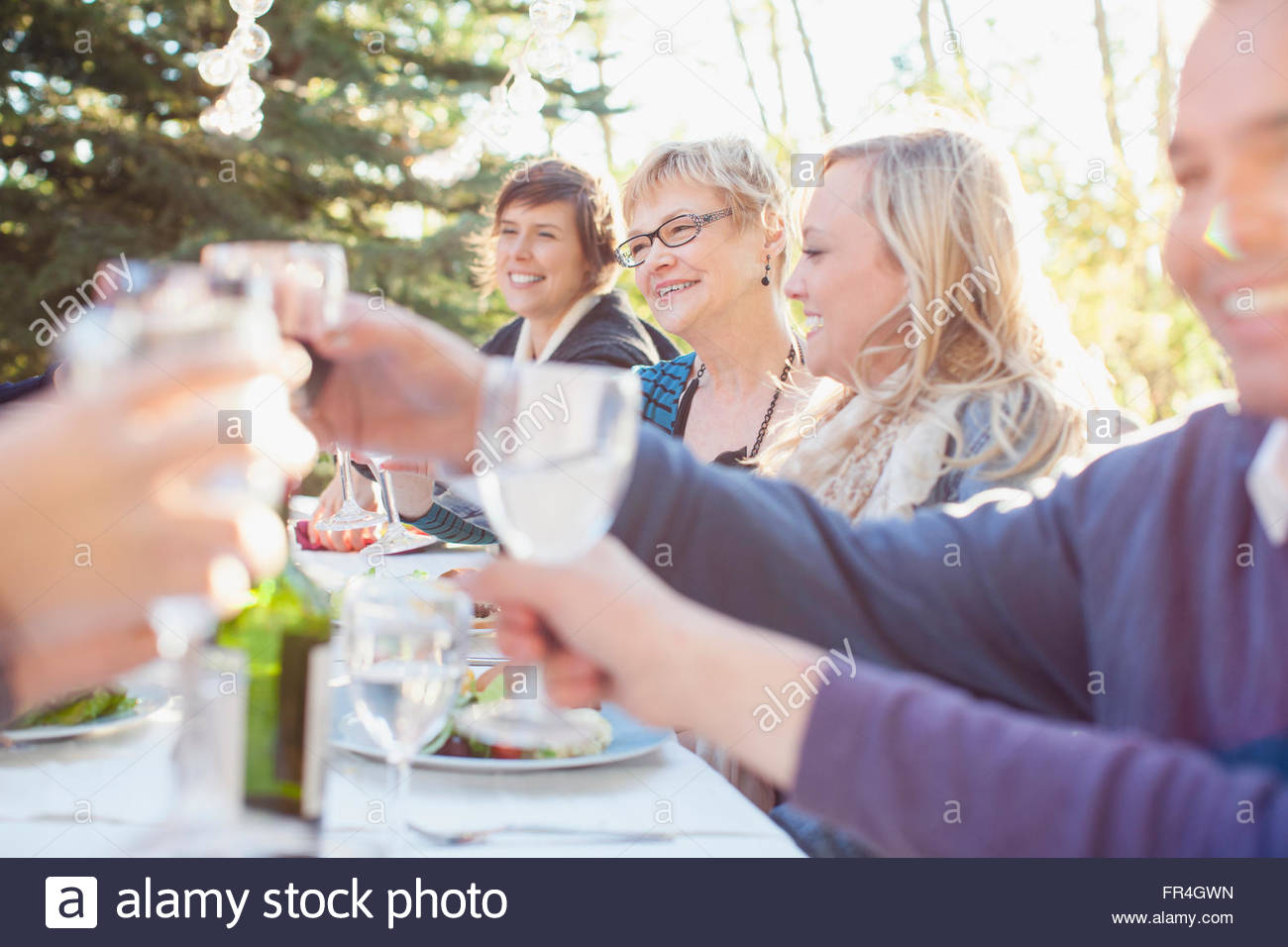 Family making a toast at outdoor family dinner Stock Photo - Alamy